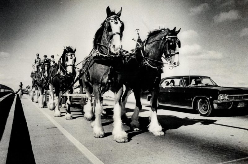 Our Careers | Carroll Distributing Company